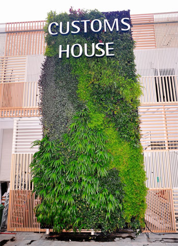 VERTICAL GARDEN | wallspan
